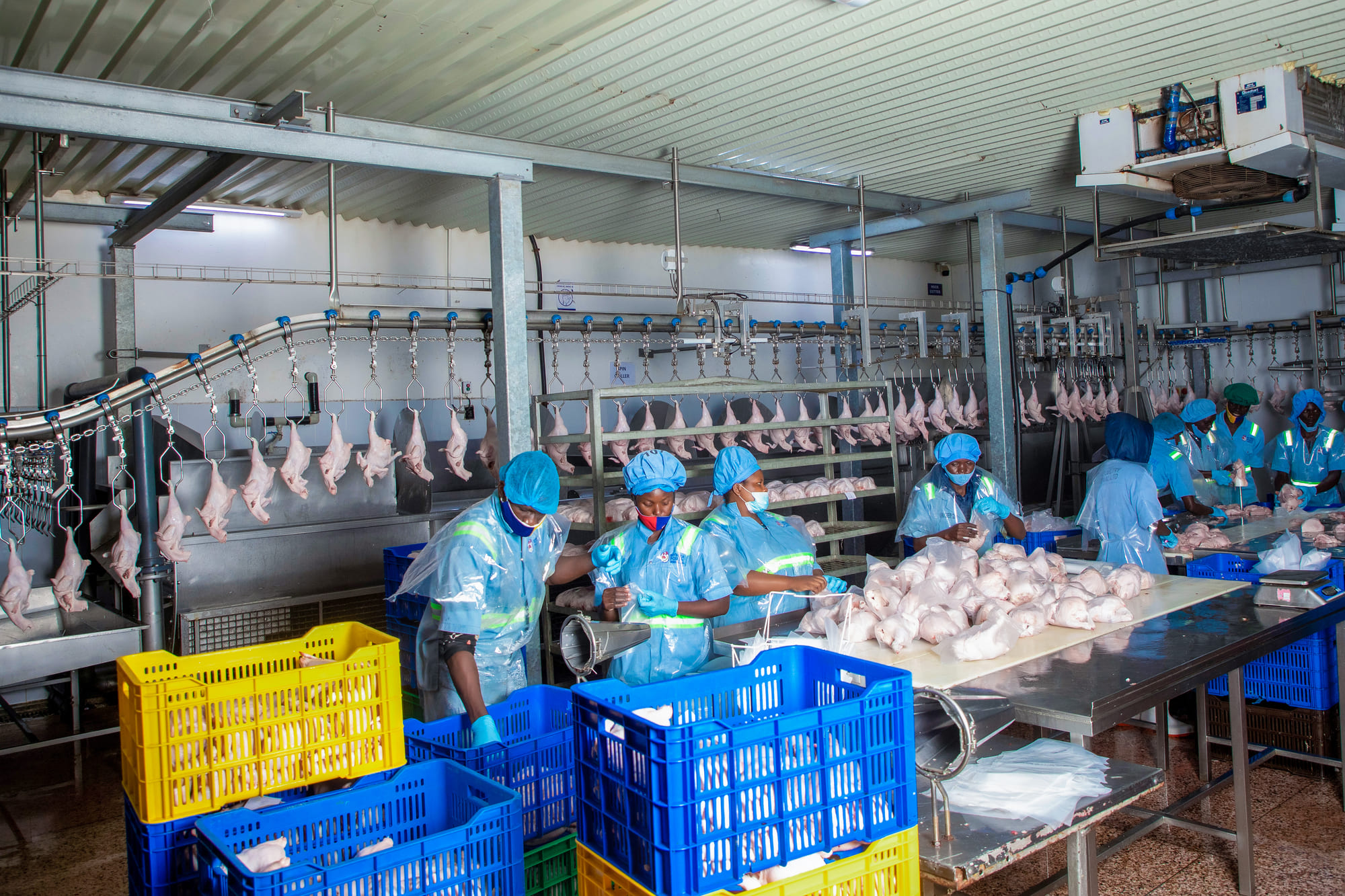 Abattoir – Biyinzika Poultry International Limited
